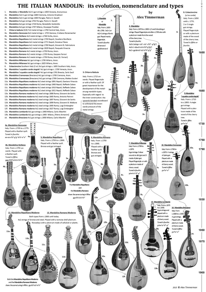 The Italian Mandolin: Its Evolution, Nomenclature and Types – A Great ...